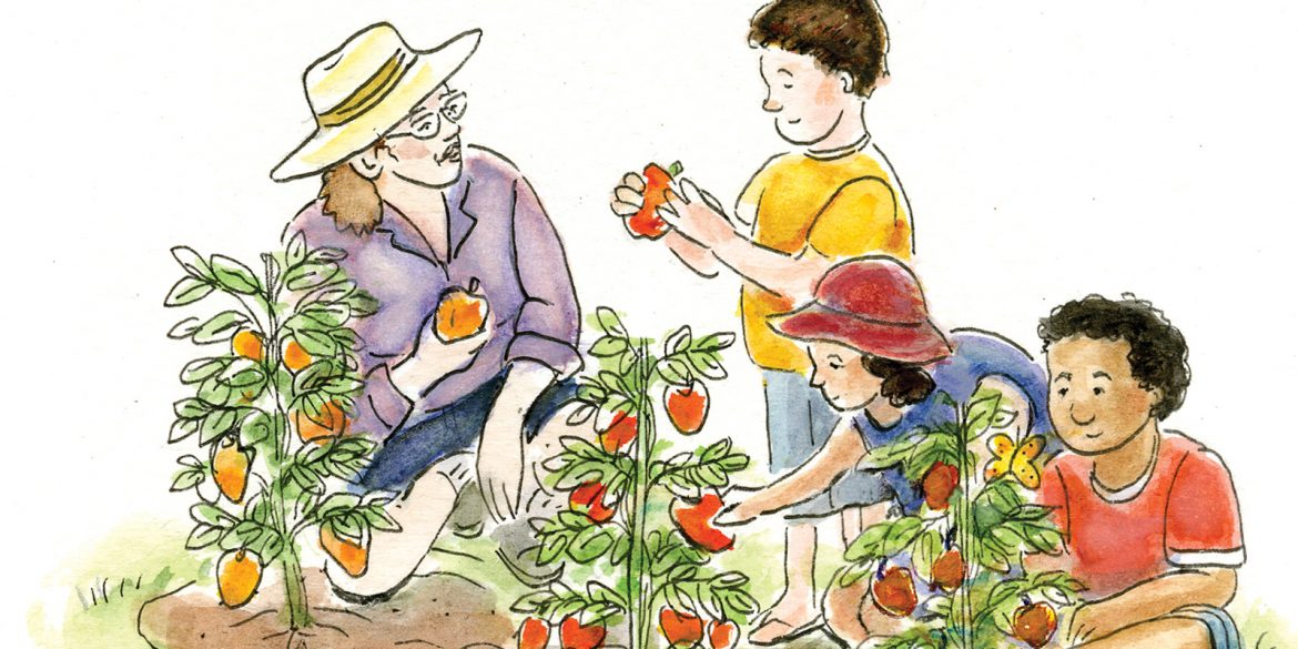 How Does Your Garden Grow? - Early Learning Nation